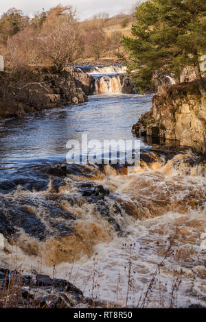 The waterfalls at Low Force,Teesdale,England,UK Stock Photo - Alamy