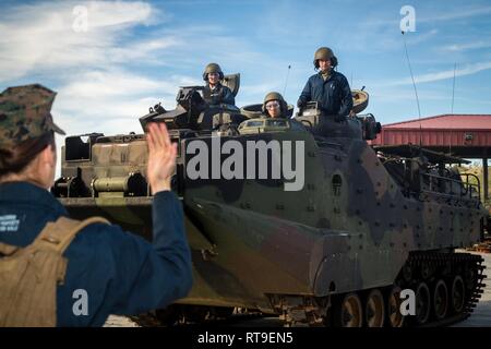 Ground guiding arm signals during Poland training by EUCOM Stock Photo ...