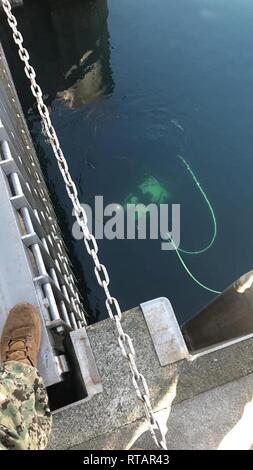 Underwater Construction Team Two’s (UCT 2), Construction Dive ...