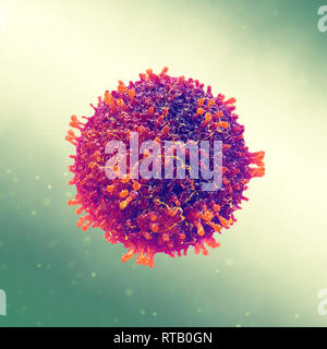 Measles also known as morbilli and rubeola is a highly contagious viral ...