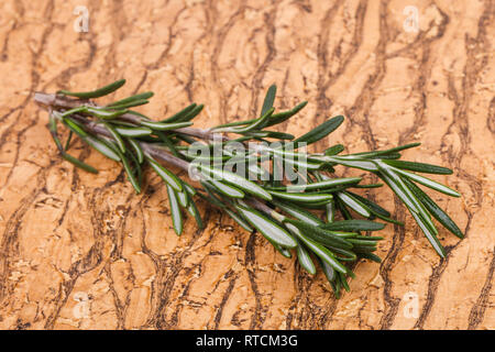 Fresh green Rosaemary branch - spice for cooking Stock Photo - Alamy
