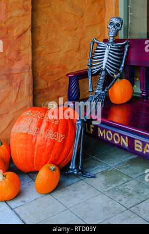 Skeleton on a bench Stock Photo - Alamy