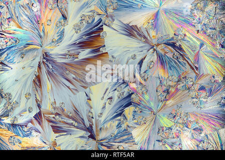 Citric acid crystals. Polarized light micrograph of a section through ...