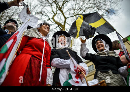 A women wearing a traditional Welsh dress holds a bunch of daffodils ...