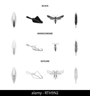 barley,flour,fly,spring,meal,insect,spike,winter,scoop,pest,durum ...