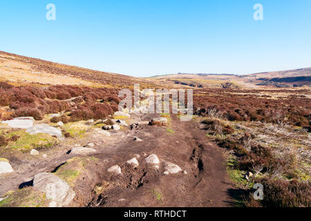 Muddy path in a moor in rural Scotland (UK Stock Photo: 116016959 - Alamy
