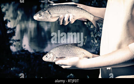 Happy fisher woman holding large fishes isolated on white background ...