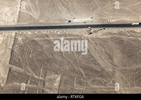 Aerial view of the Nazca lines, hands and tree, next to the road and ...