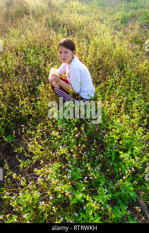 Drink Boba Tea in the grassland, sunset light Stock Photo - Alamy