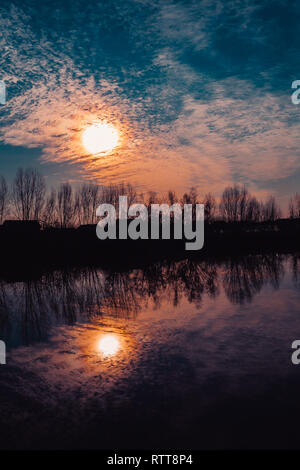 A vibrant sunset over the Red Forest and exclusion zone near the ...