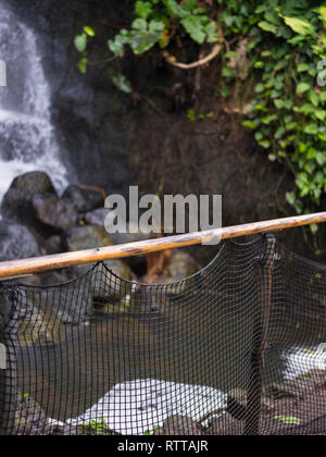 Waterfall, Rainforest, Eden Project Stock Photo - Alamy