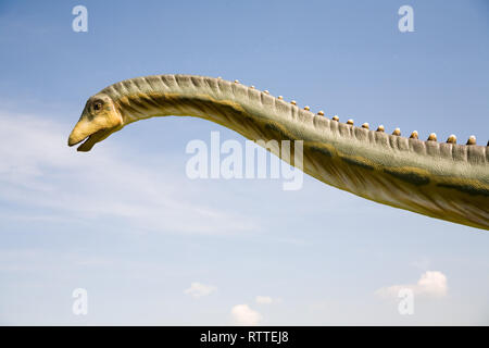 Jurassic park - set of dinosaurs - long body of Mamenchisaurus ...