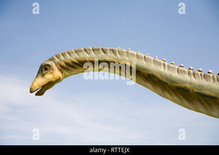 Jurassic park - set of dinosaurs - long body of Mamenchisaurus ...