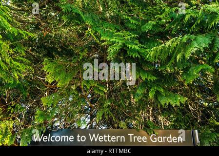 Croydon, United Kingdom - February 23, 2019: Wettern Tree Garden in ...