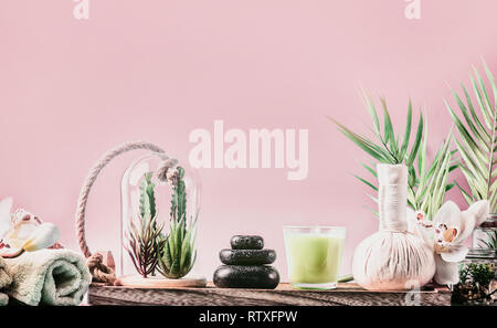 Succulent plants on pastel pink background. Flat lay Stock Photo - Alamy