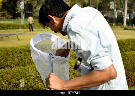 Young man entomologist collecting insects using an insect net or ...