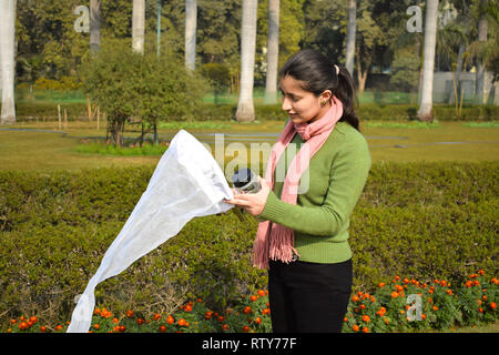 Young woman entomologist collecting insects using an insect net or ...