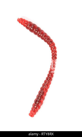Soft Plastic EarthWorm toy Stock Photo - Alamy