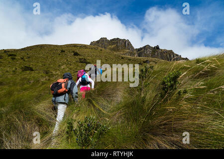 Cerro del Conde peak, Ecuador Stock Photo - Alamy