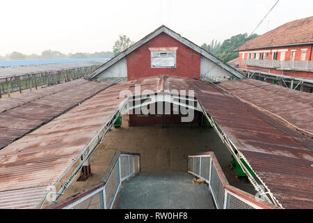 THAZI, MYANMAR - 23 NOVEMBER, 2018: Vertical picture of people walking ...
