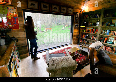 Tiger Lodge, Port Lympne Reserve, UK Stock Photo - Alamy