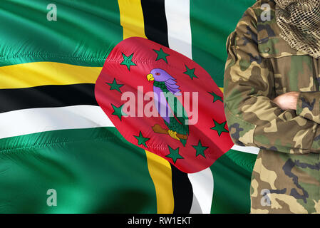 Crossed arms Dominican soldier with national waving flag on background ...