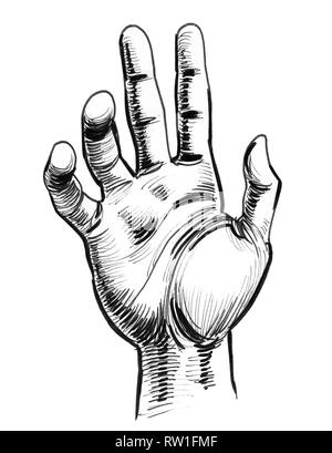 Human hand. Ink black and white drawing Stock Photo - Alamy