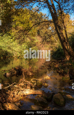 Snir river nature reserve, Israel Stock Photo - Alamy