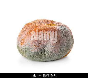 Rotten grapefruit isolated on white background Stock Photo - Alamy