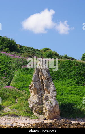 Maidens Rock Sea Stack of Carboniferous Sandstone on a Sunny Summers ...