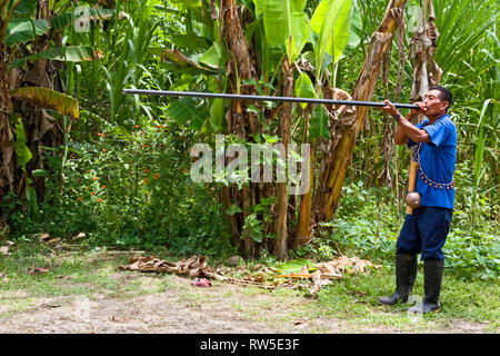Indigenous man; using blowgun; weapon, long rod, skill, native tribe ...