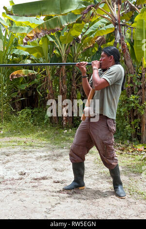 man; Indigenous, shaman; using blowgun; weapon, long rod, skill, Amazon ...