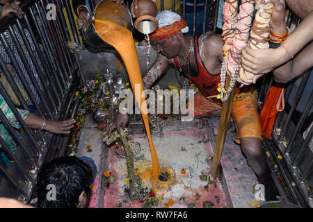 Hindu devotees pour milk on a shivling, a representation of Hindu god ...