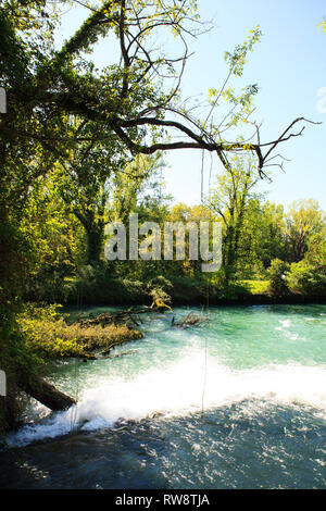 View of the Resurgence of the Timavo river, Duino Stock Photo - Alamy