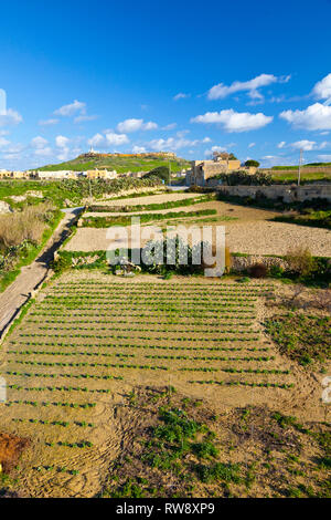 Gharb Village, countryside landscape, Gozo Island, Malta, Europe Stock ...