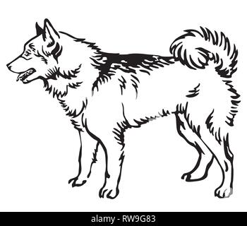 Drawing of spitz dog standing on rear legs isolated on white background ...
