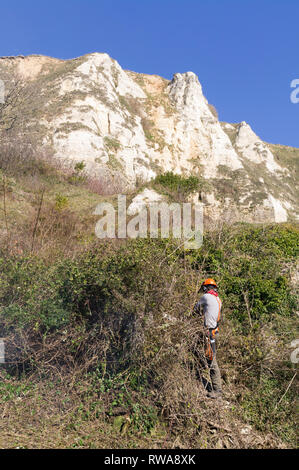 Axmouth-Lyme regis Undercliffs, National Nature reserve, Devon, April ...
