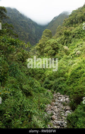 Sabyinyo gorge on Sabyinyo volcano in the Virunga Mountains, Mgahinga ...