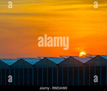 Large Industrial Greenhouse at Sunset. Gorgeous Sunset Red and Orange ...