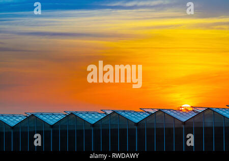 Large Industrial Greenhouse at Sunset. Gorgeous Sunset Red and Orange ...