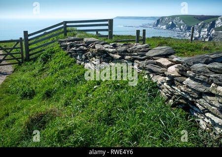 The beach at Ayrmer Cove, Ringmore, Devon, England, UK Stock Photo - Alamy