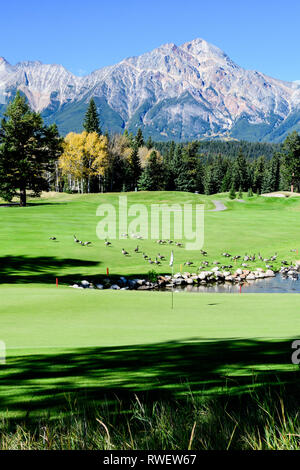 Jasper Park Lodge Golf Course World Heritage JASPER NATIONAL PARK Stock ...