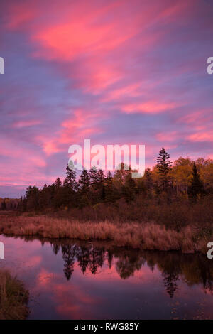 Reflections in a stream at sunset Stock Photo - Alamy