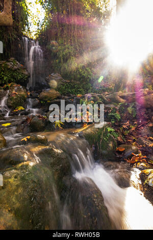 waterfall at Snir river nature reserve, Israel Stock Photo - Alamy