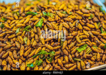 Fried insects in the tray on the counter of the Chinese market. Exotic ...