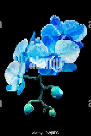 Meadow flowers pixel vector illustration isolated on white background ...