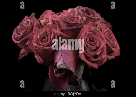 Dead Red Roses Stock Photo - Alamy