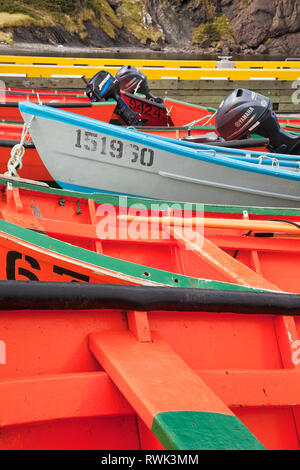 Yellow Newfoundland Dory Stock Photo - Alamy