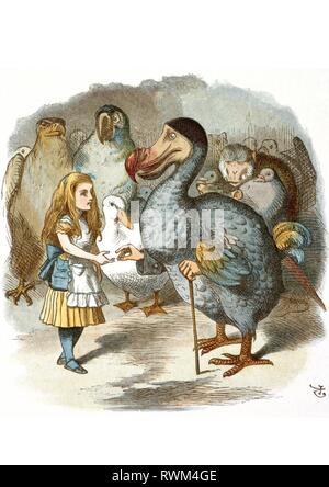 Alice in Wonderland illustration by Sir John Tenniel Stock Photo - Alamy