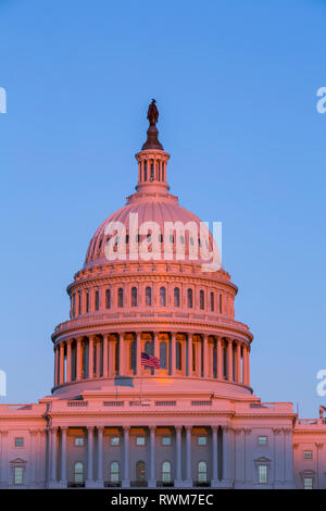 American flag, glowing United States of America in neon, serving as ...